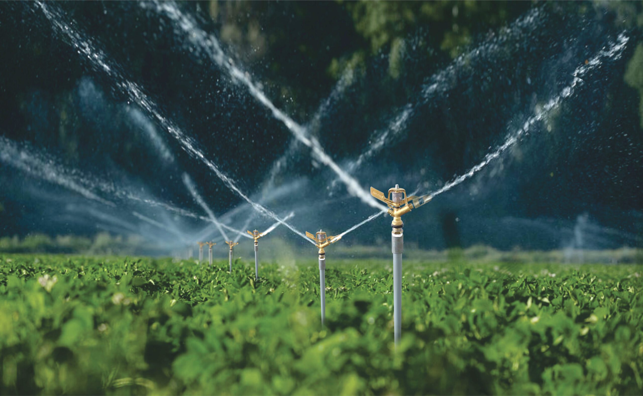 In Line Drip Irrigation System for Closed Spaced Crops