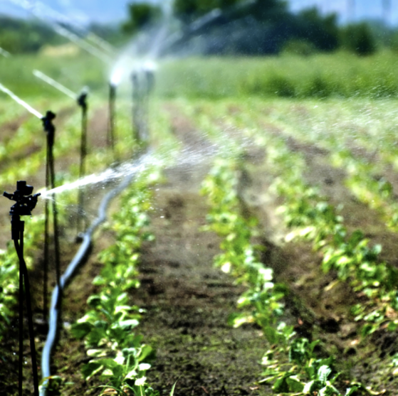 SPRINKLER IRRIGATION SYSTEM – kritiindustries